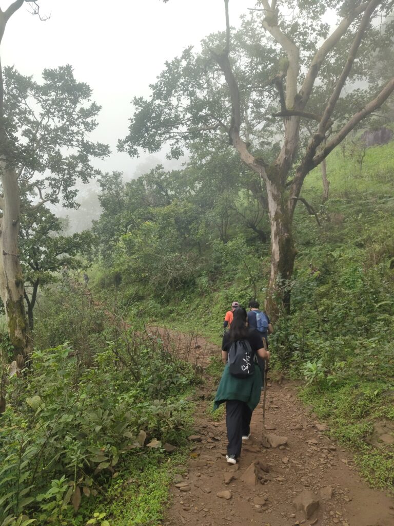 Netravati Trek: Complete Guide to the Netravati Trek